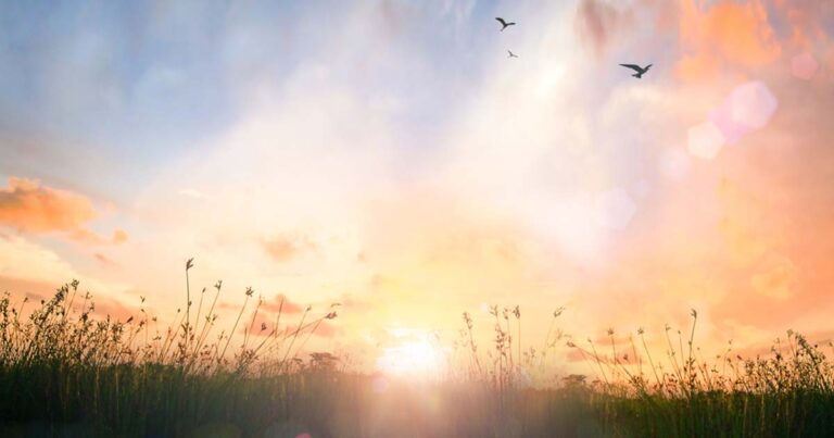 The Power of Intuition: What it Means and Why It’s Important ...