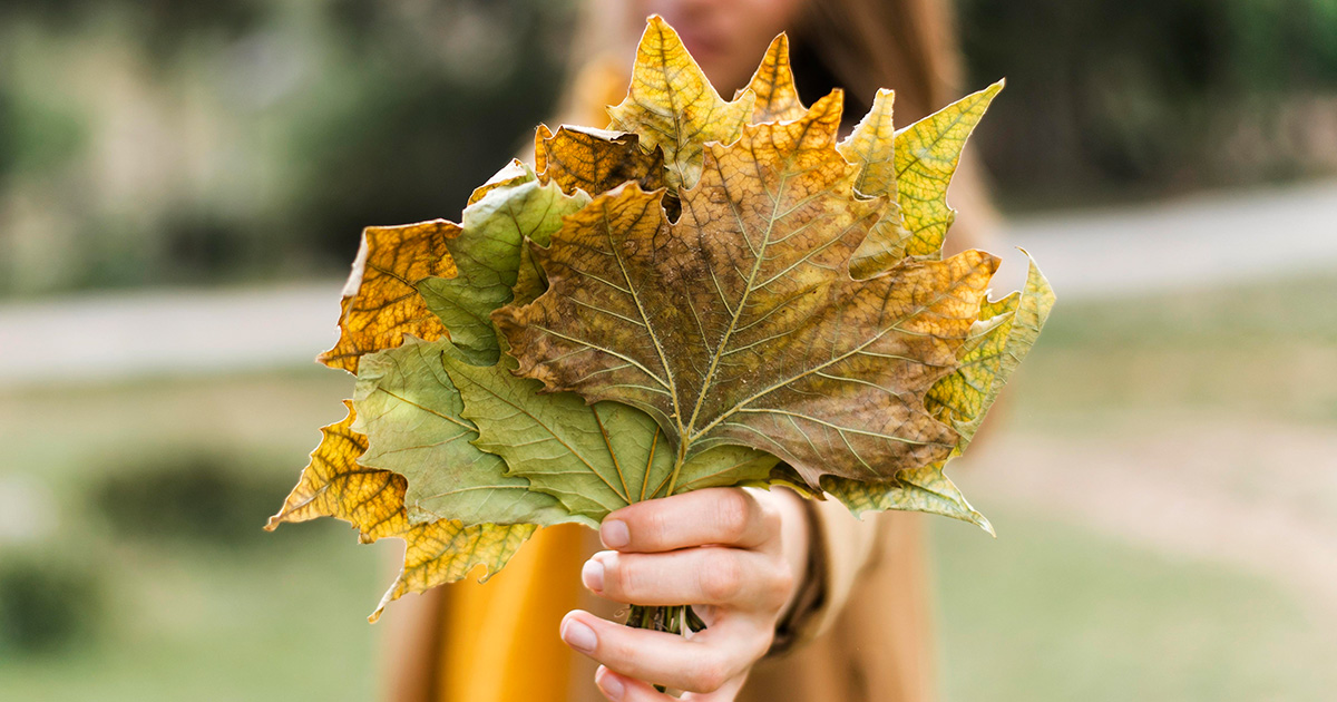 Learn How to Use the 55X5 Manifestation Method - SoulSensei Blog