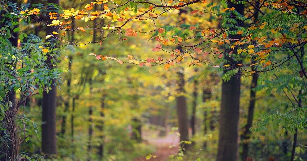 How to Teach Kids Confidence - 10 Practical Tips for Parents ...